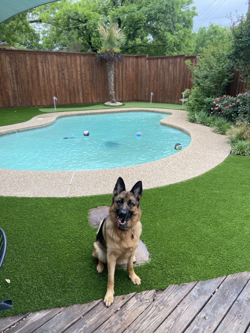 Prime Design Turf: The Perfect Turf Solutions for Outdoor Spaces